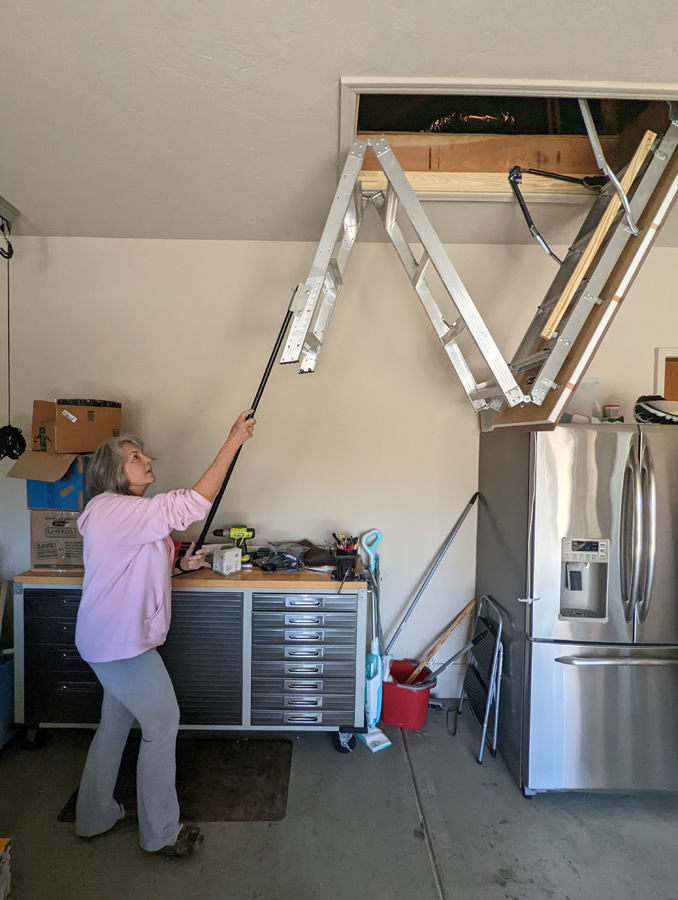 assit | Attic Ladder Guy